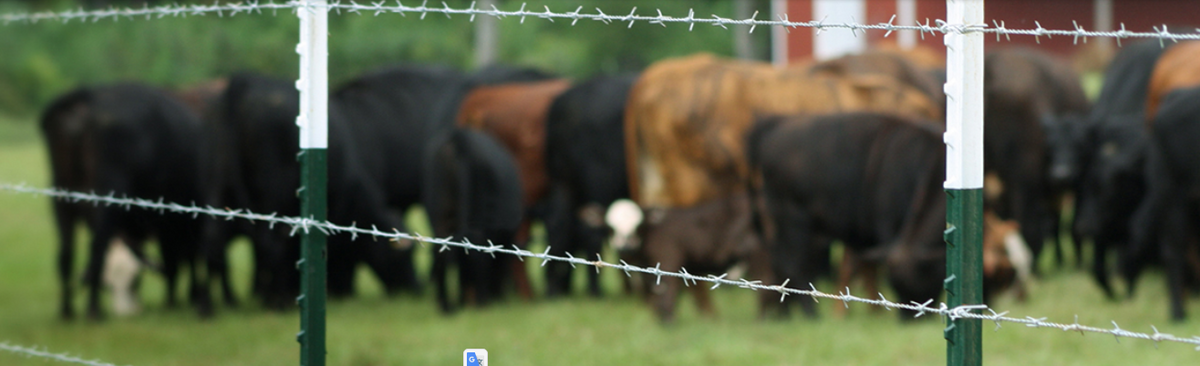 Commercial Metals Southern Post CLIPS T-Post Fastener Fence - Pecos, TX ...