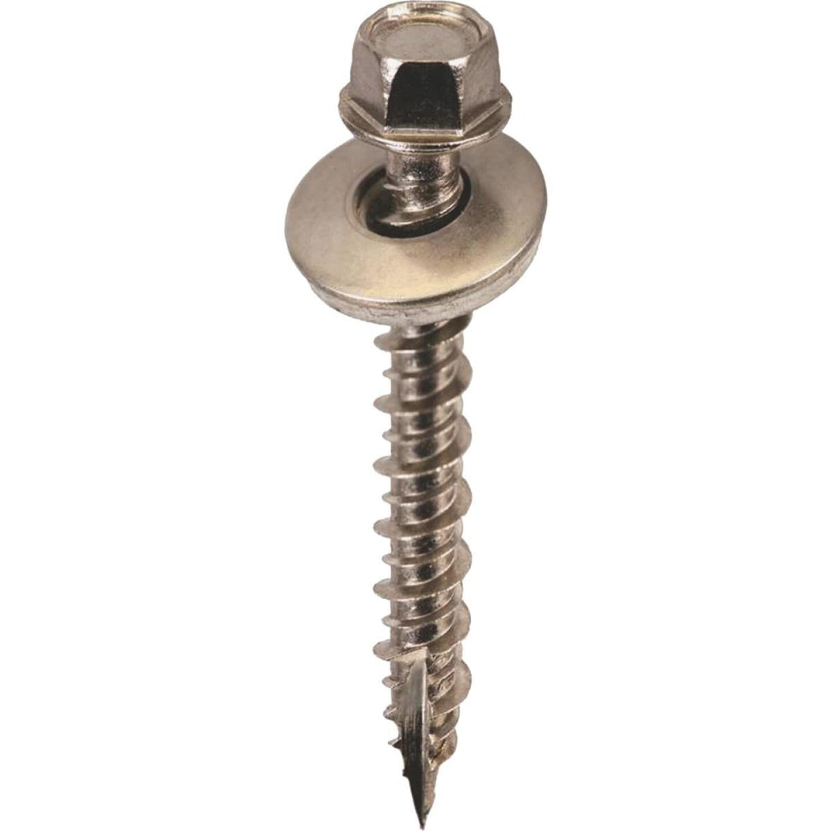 Acorn International 1-1/2 In. Washered Stainless Steel Framing Screw ...
